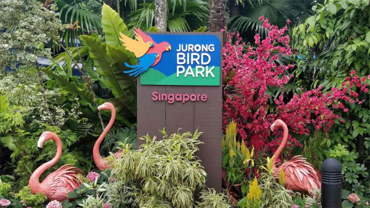 Singapore's 52-year-old Jurong Bird Park closes with an emotional ...