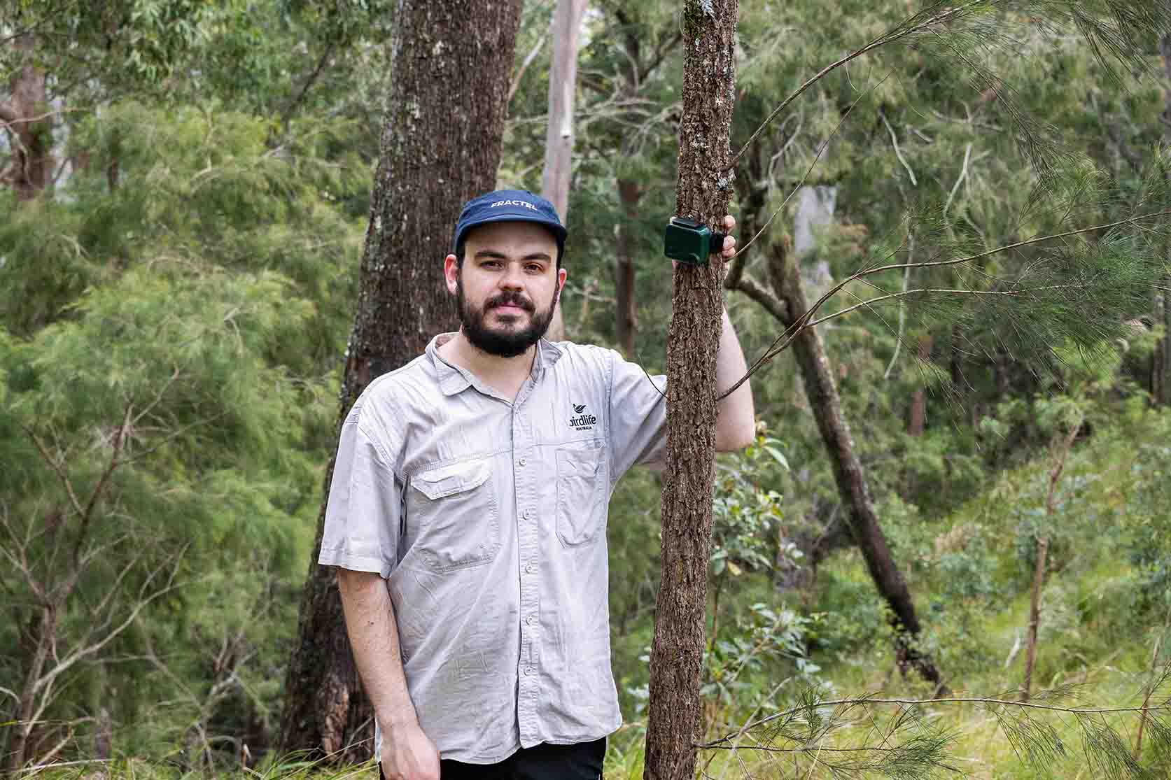 Artificial Intelligence helps locate endangered bird - Commonwealth Union