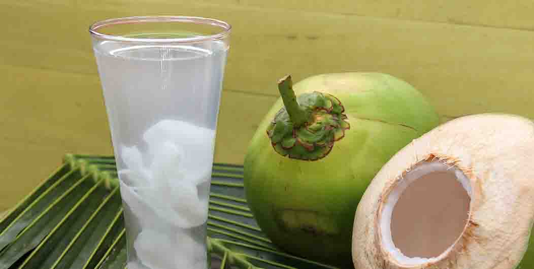 Trends throughout the world and fresh chances for the coconut business ...