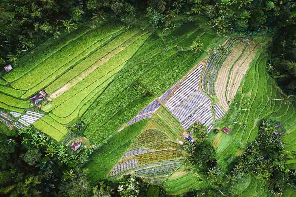 Project for Nature-based Alternatives to Improve Fiji's Climate ...
