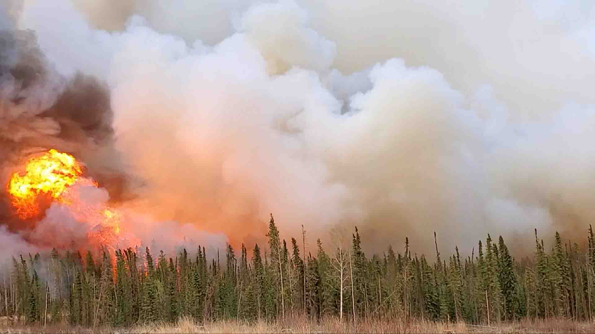 Force evacuation, as Canada ravaged by wildfires - Commonwealth Union