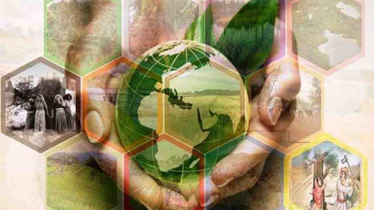 Brief History of Environmental Movement and Environmentalism ...