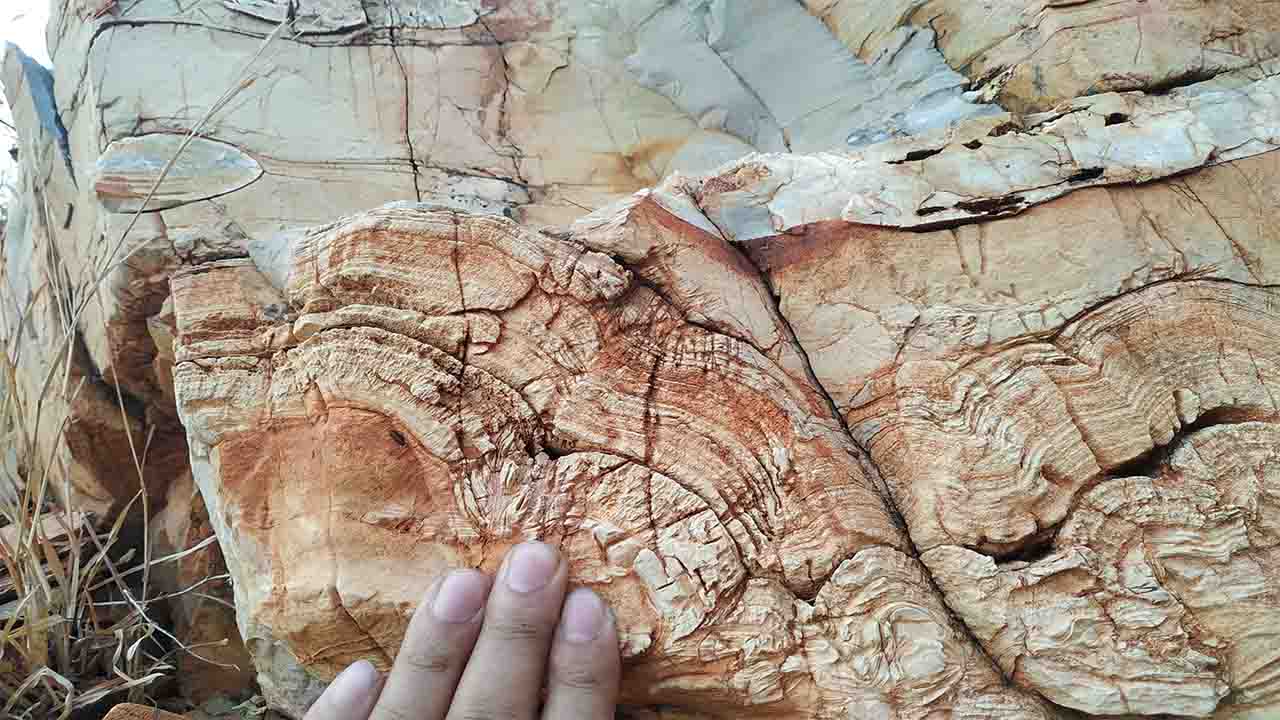 New insights into prehistoric rock deposits - Commonwealth Union