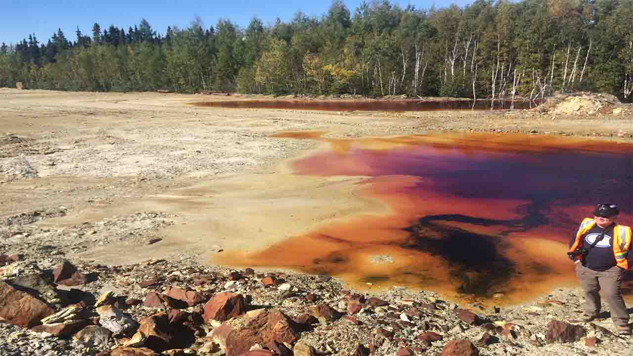 What is a Microbe's role in mining waste? - Commonwealth Union