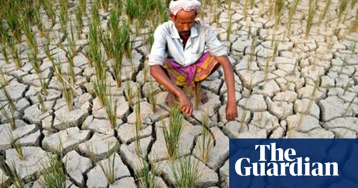 Innovative Water-Saving Techniques turned to by Affected Areas ...