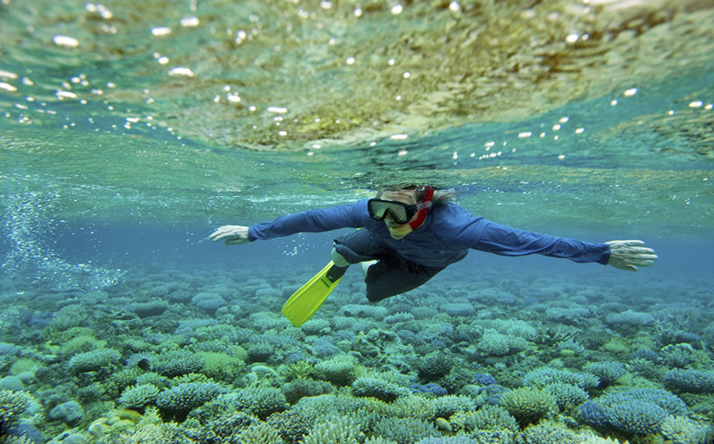 Diving into Adventure: Exploring the Wonders of Aquatic Tourism ...