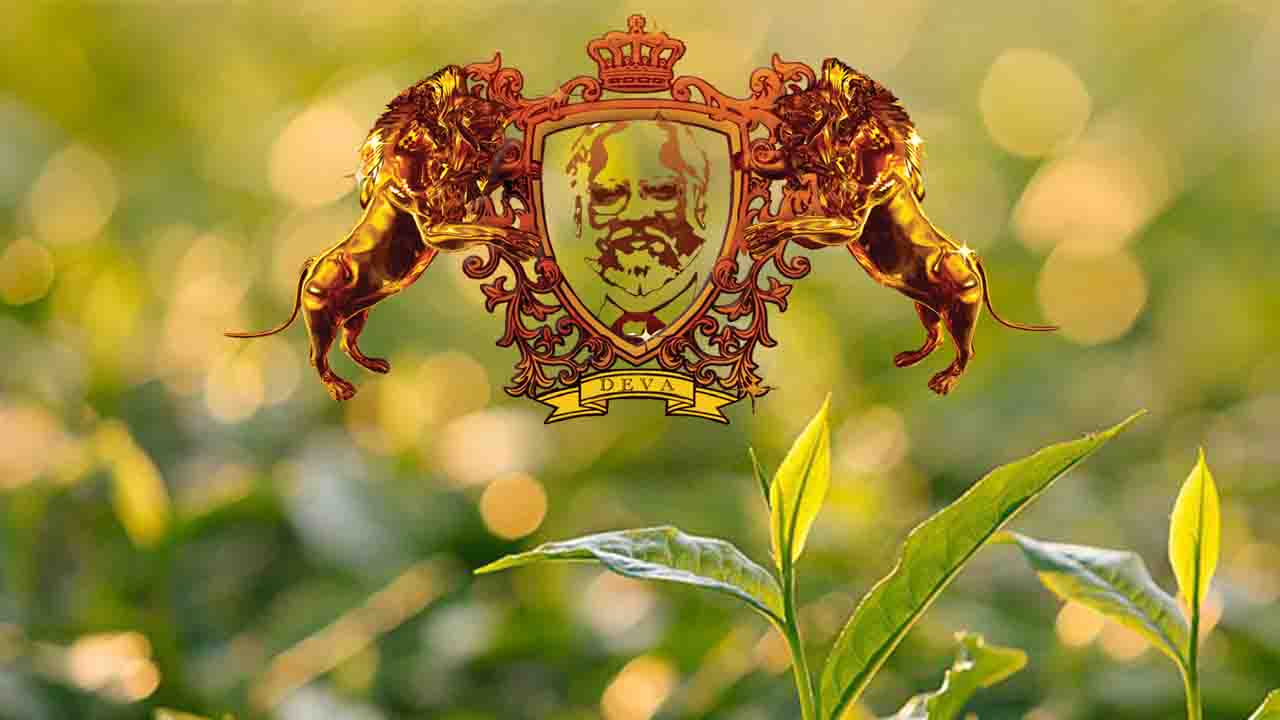 World's most exclusive and expensive tea. Only for those who can afford ...