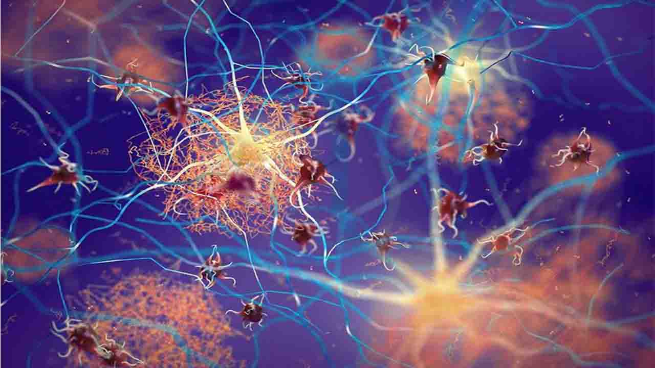 Which cells play a role in brain damage? - Commonwealth Union