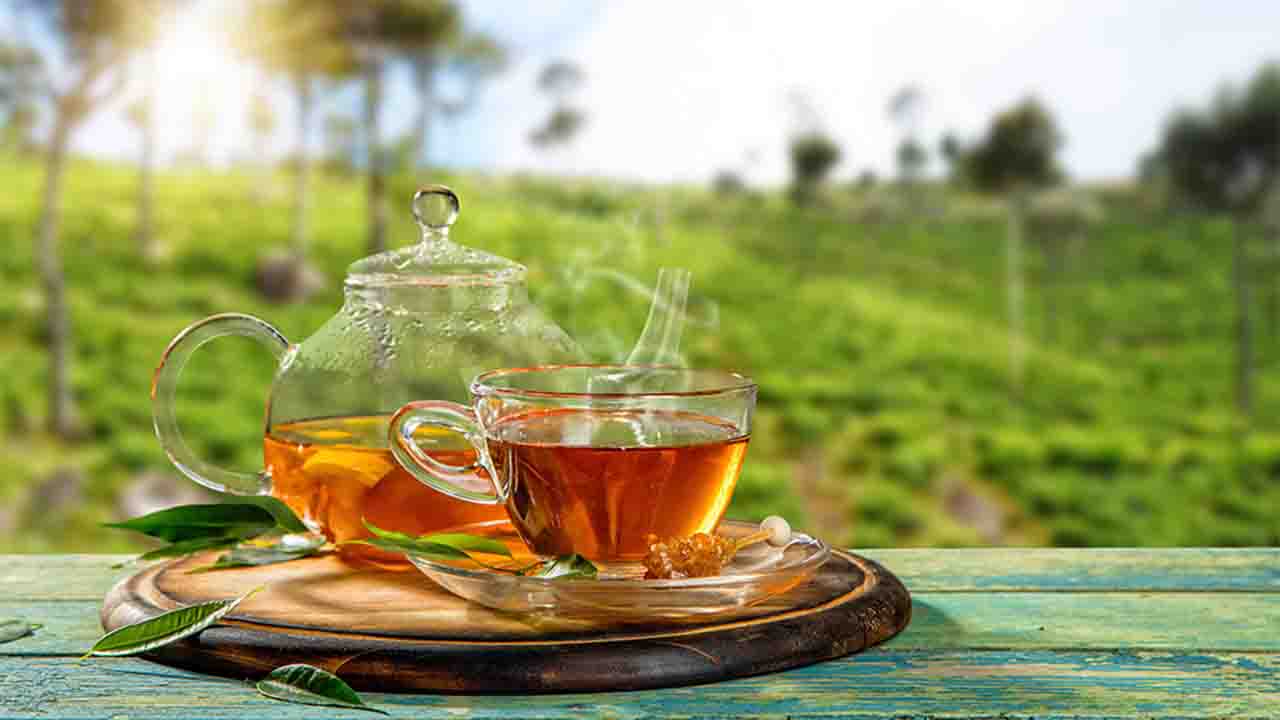 Sri Lanka's Tea Triumph: A Steaming Success in Global Export Market ...