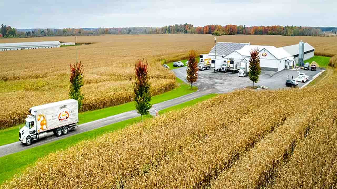 Strategies to improve the shipping network in Canada used by farmers ...