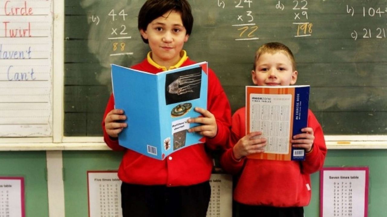 Stage of learning is more important than age, in composite class ...