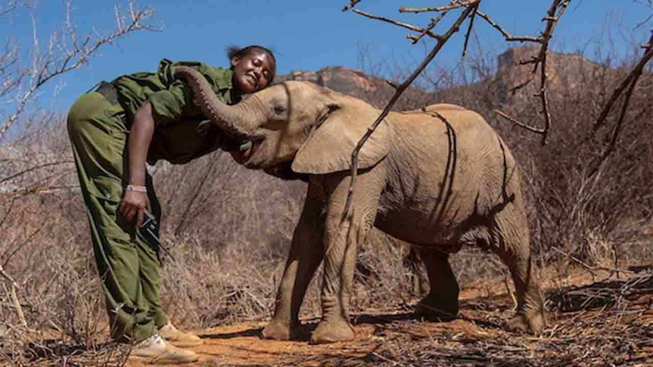 Kenya Wild Life Conservation for… - Commonwealth Union