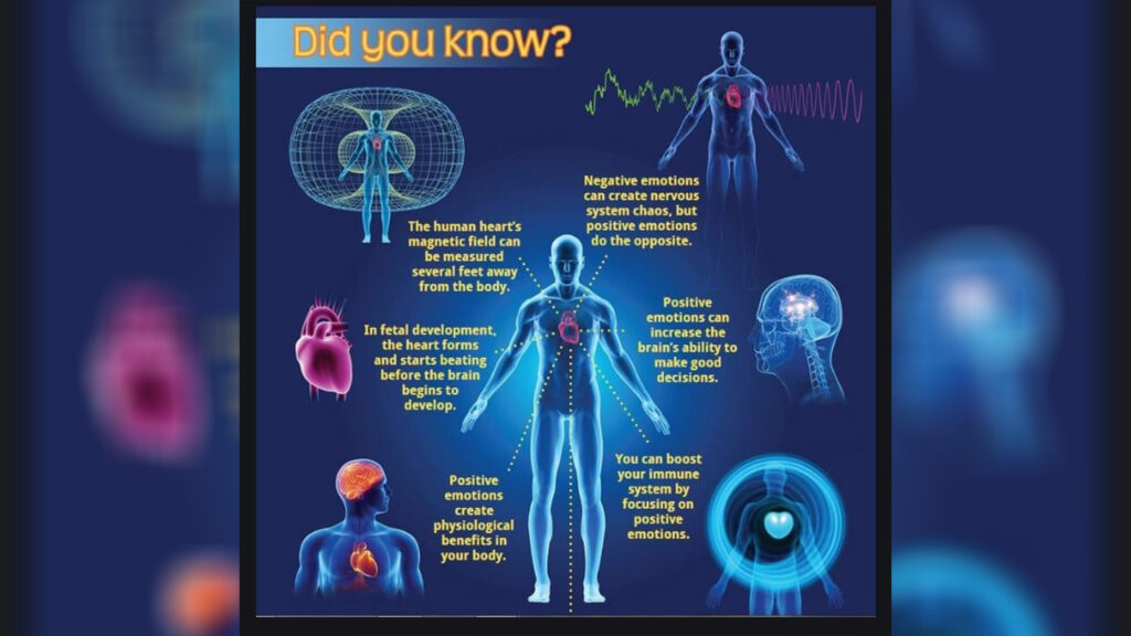 Influence of Biomagnetic Forces on Cellular Mechanics, Disease Recovery ...