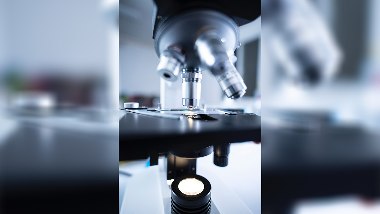 The significant role of… - Commonwealth Union