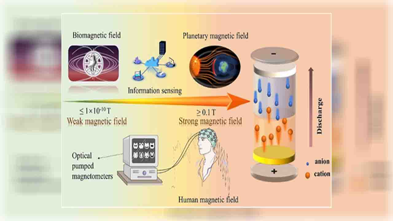 The Role of Biomagnetic Forces in… - Commonwealth Union