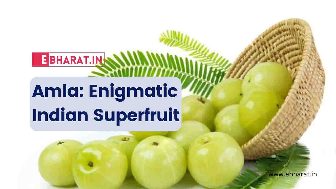 The Indian Gooseberry's Potent Role…beyond - Commonwealth Union