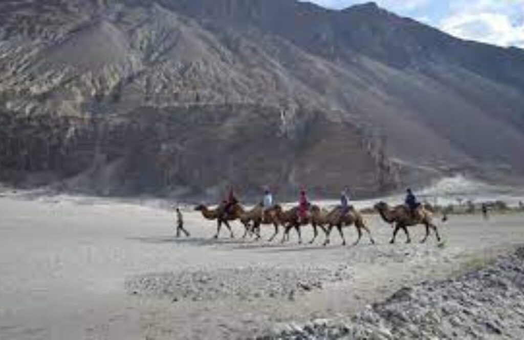 Hunder Sand Dunes: A Jewel in India's Cold Desert Landscape ...