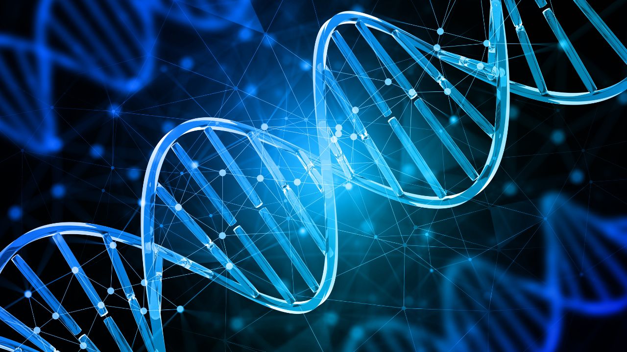 Revolutionary Artificial DNA - Commonwealth Union