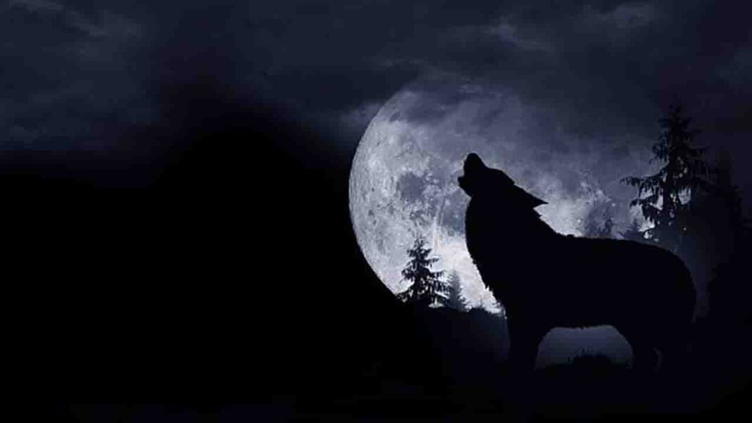 Look up tonight! Full Wolf Moon will light up skies in the UK and US ...