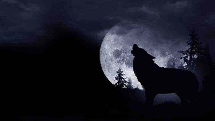 Look up tonight! Full Wolf Moon will light up skies in the UK and US - here's how YOU can see ...