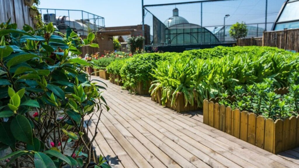 FEEDING THE FUTURE: URBAN FARMING ENHANCES FOOD SECURITY - Commonwealth ...