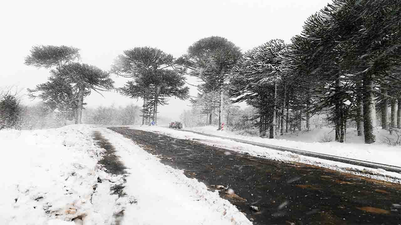 Heavy snow expected - Commonwealth Union