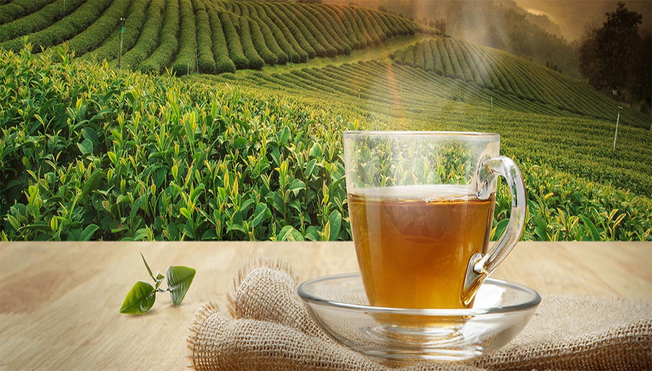 Lankan Tea - Brew of tradition, innovation, and sustainability ...