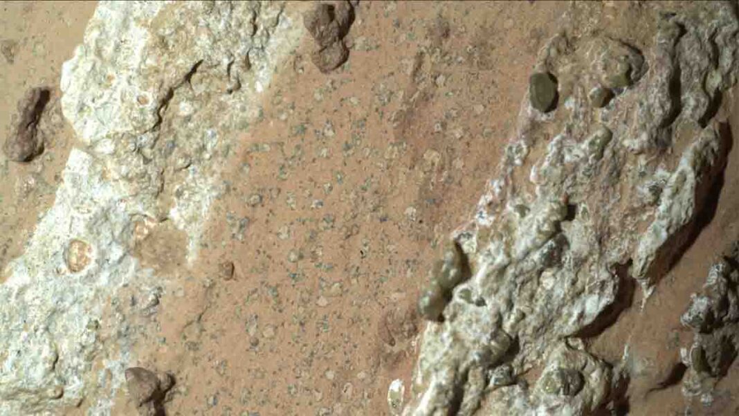 NASA discovers potential ancient life on Mars - Commonwealth Union