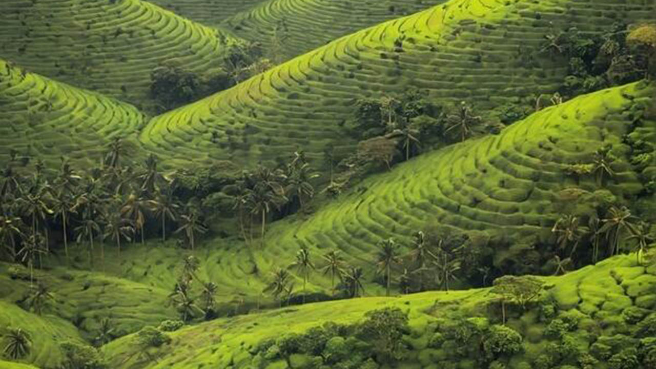 Gabon's global mobility and outbound tourism growth - Commonwealth Union