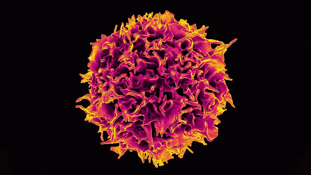 Newly approved 'living drug' to save cancer patients - Commonwealth Union