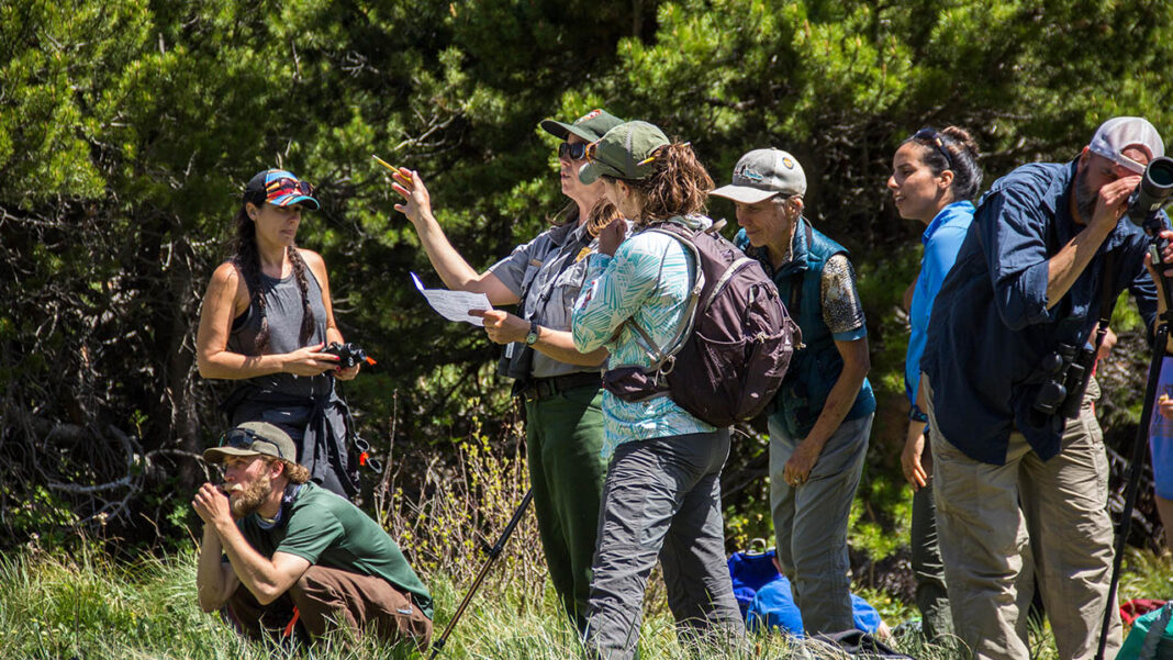 Volunteer citizen scientists contribute to wildlife conservation ...