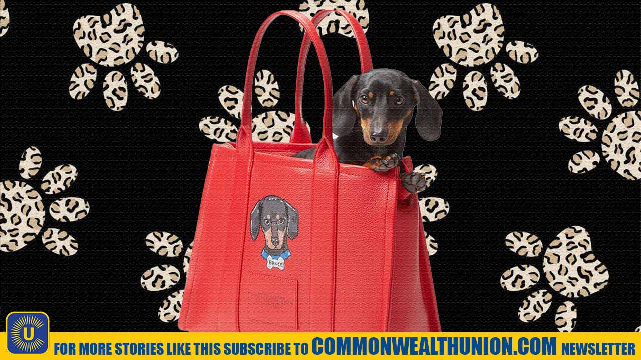 Paws & Prestige: Marc Jacobs Unveils Luxe Pet Portraits in the Hamptons ...