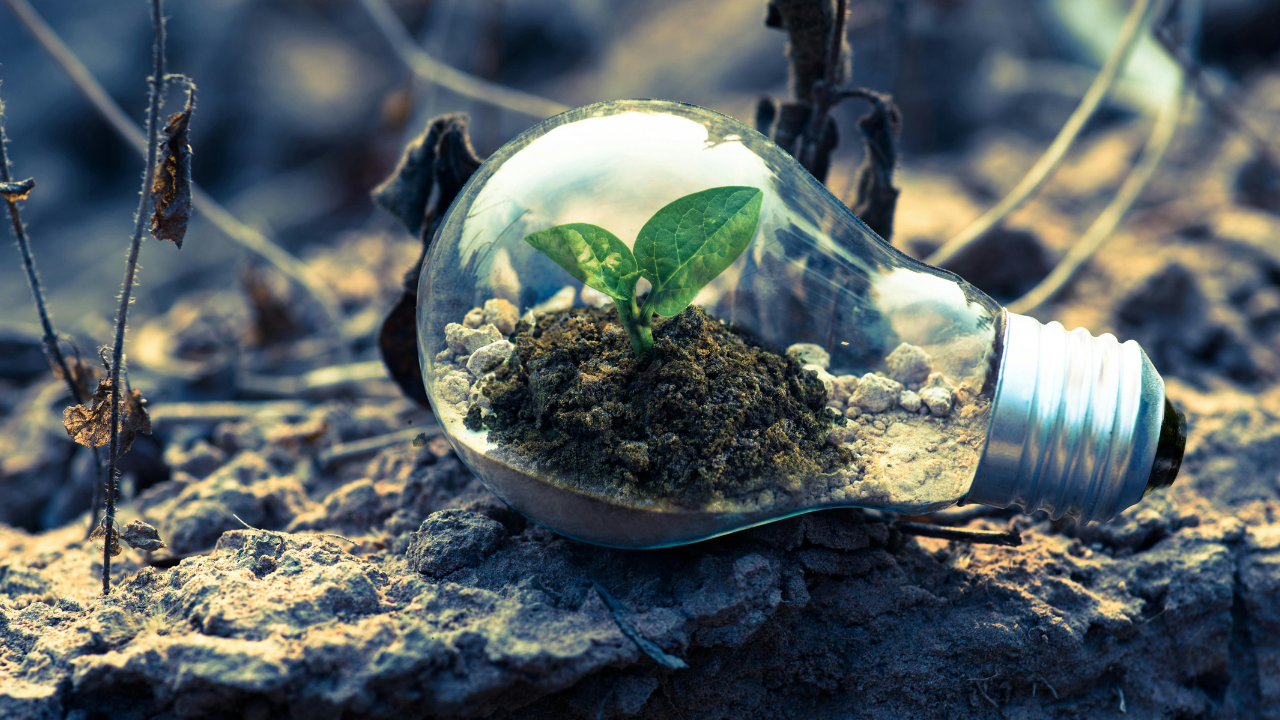 The Dirty Dozen Dozen: How 104 Corporations Fuel a Fifth of Global Environmental Conflicts ...